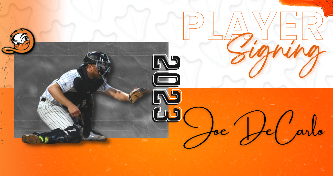 CATCHER/INFIELDER JOE DeCARLO RETURNS TO LONG ISLAND