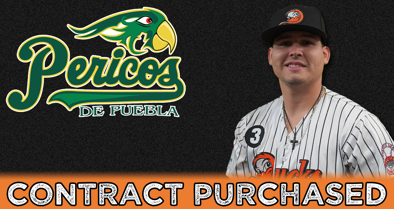 EMILIO MARQUEZ’S CONTRACT PURCHASED BY PERICOS DE PUEBLA